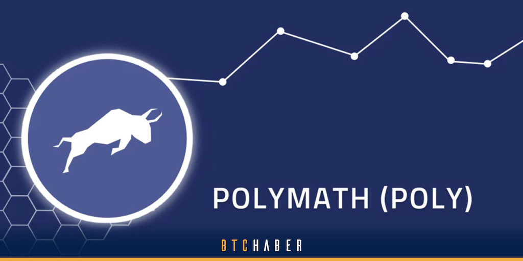 Polymath Nedir? POLY Nasıl Alınır?