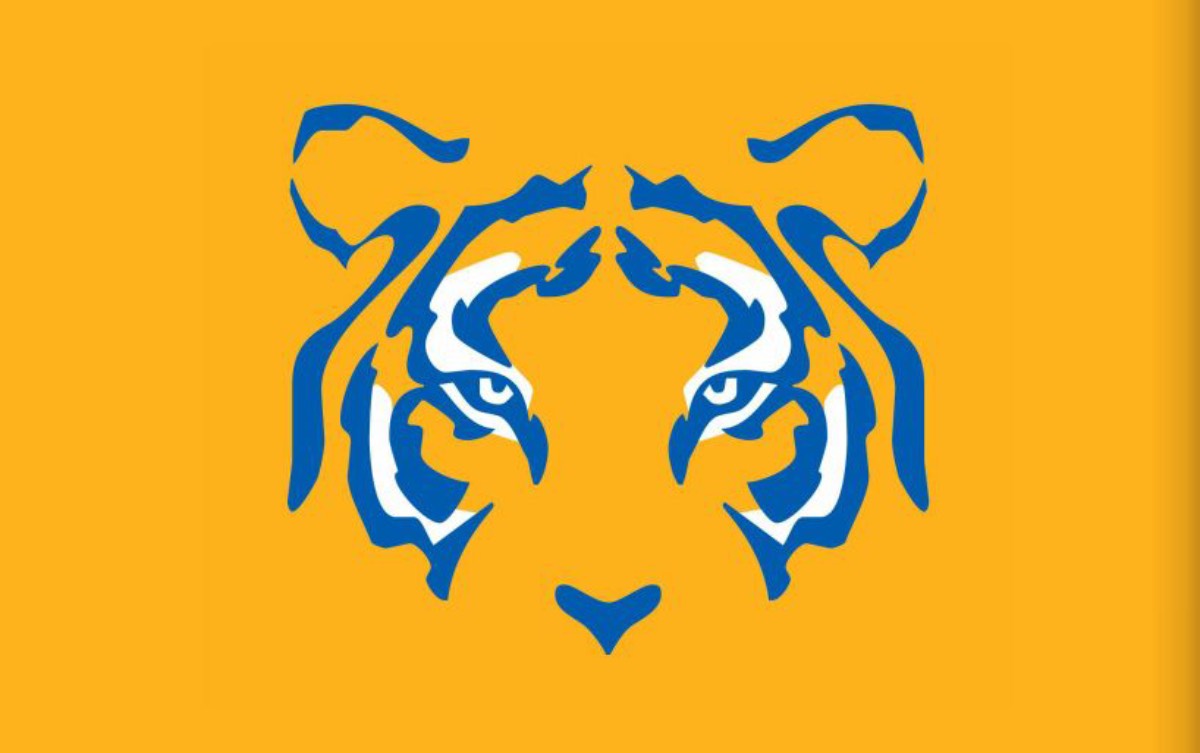 Tigers Fan Token (TIGRES) Nedir? - BTCHaber